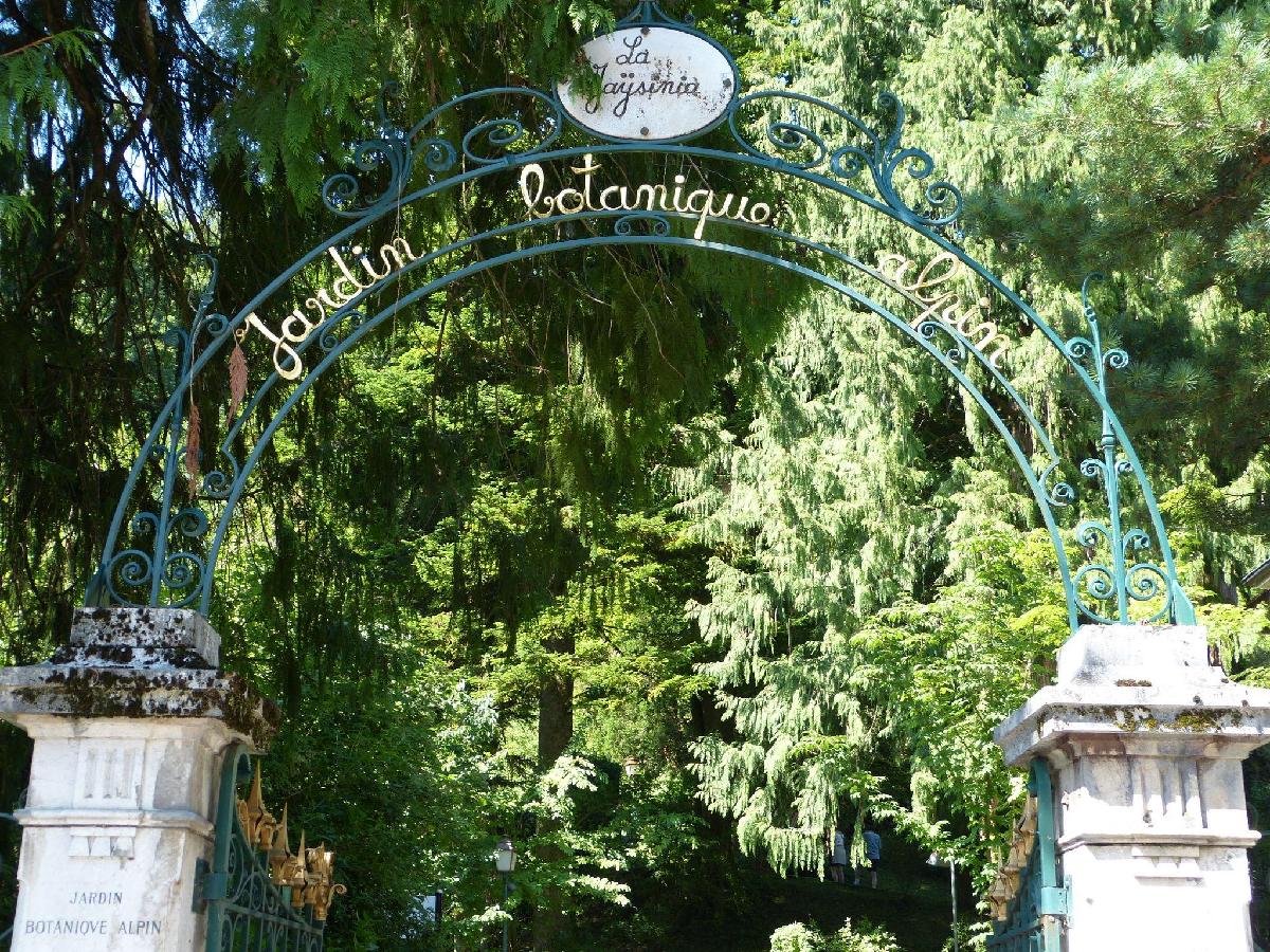 Diffuz - Visite commentée du Jardin Botanique Alpin La Jaÿsinia